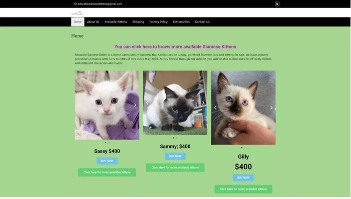 Kitten Scammer Profile | Pet Puppy Scammers websites List